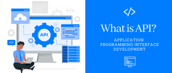 What is API? Application Programming Interface Development